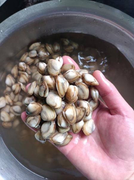 海瓜子怎么快速吐沙_海瓜子吐沙最快的方法-第1张图片-山城妙识