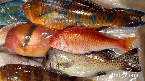 吴郭鱼图片_吴郭鱼长什么样-第3张图片-山城妙识