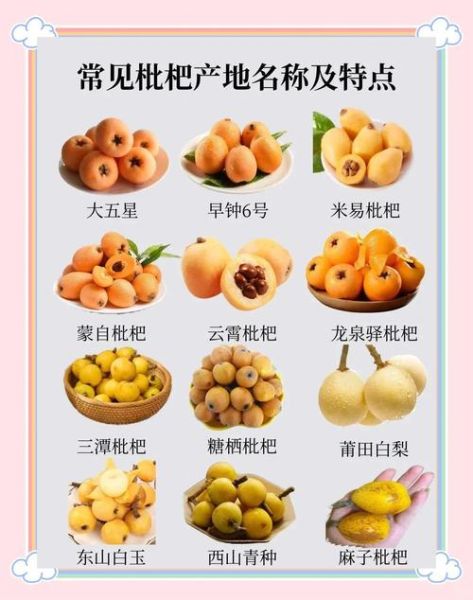 女人吃枇杷的好处_枇杷对女性的功效与作用-第3张图片-山城妙识