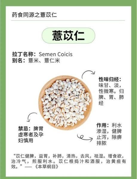 薏苡仁的副作用有哪些_薏苡仁什么人不能吃-第1张图片-山城妙识