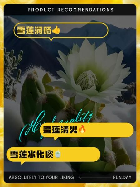 雪莲花煮水一次喝几天_雪莲花泡水能连续喝多久-第2张图片-山城妙识 雪莲花煮水一次喝几天_雪莲花泡水能连续喝多久-第2张图片-山城妙识