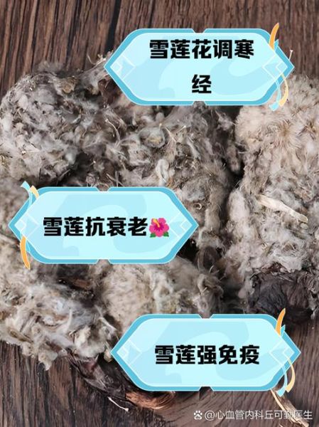 雪莲花煮水一次喝几天_雪莲花泡水能连续喝多久-第1张图片-山城妙识 雪莲花煮水一次喝几天_雪莲花泡水能连续喝多久-第1张图片-山城妙识