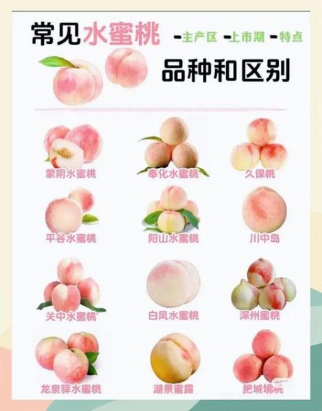 桃子热量高吗_桃子维生素C含量多少-第2张图片-山城妙识