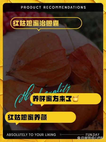 红姑娘的功效与作用_红姑娘怎么吃最好-第1张图片-山城妙识 红姑娘的功效与作用_红姑娘怎么吃最好-第1张图片-山城妙识