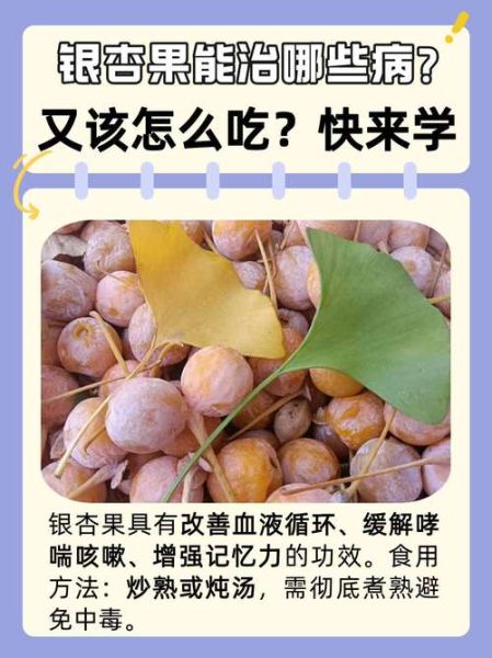 银杏果一次最多能吃多少_吃多了会怎样-第1张图片-山城妙识