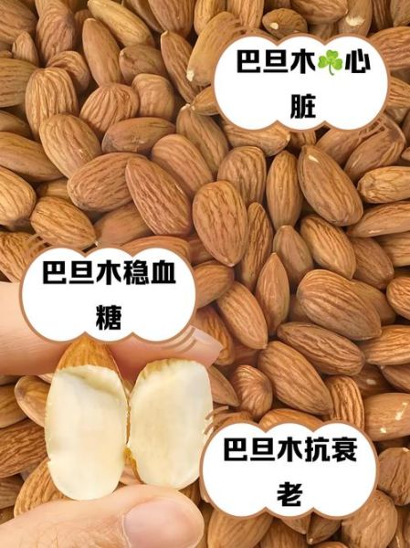 干果种类大全图片_哪些干果营养价值最高-第1张图片-山城妙识 干果种类大全图片_哪些干果营养价值最高-第1张图片-山城妙识