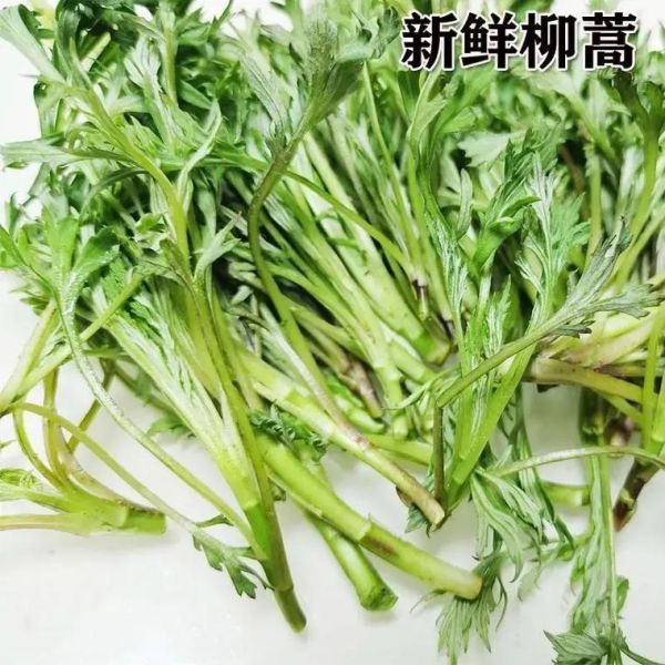 藜蒿和芦蒿的区别_哪个更好吃-第1张图片-山城妙识 藜蒿和芦蒿的区别_哪个更好吃-第1张图片-山城妙识