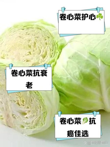 红卷心菜的功效与作用_怎么吃最营养-第2张图片-山城妙识 红卷心菜的功效与作用_怎么吃最营养-第2张图片-山城妙识