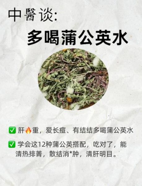 蒲公英的功效与禁忌_什么人不能吃蒲公英-第1张图片-山城妙识