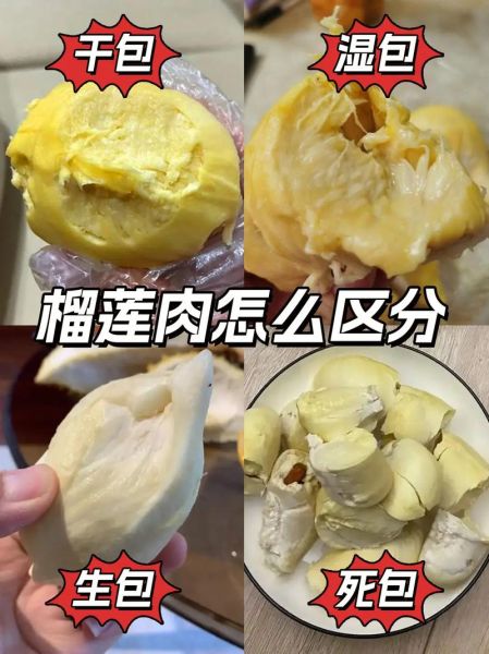 榴莲没熟和死包的区别_怎么判断榴莲是否死包-第3张图片-山城妙识