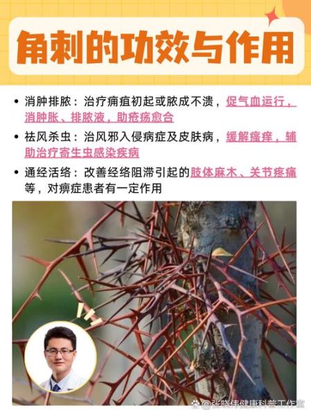 皂角刺的功效与作用_皂角刺的禁忌有哪些-第1张图片-山城妙识