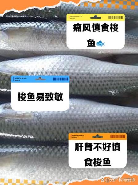 梭鱼头为什么不能吃_梭鱼头重金属超标吗-第1张图片-山城妙识 梭鱼头为什么不能吃_梭鱼头重金属超标吗-第1张图片-山城妙识