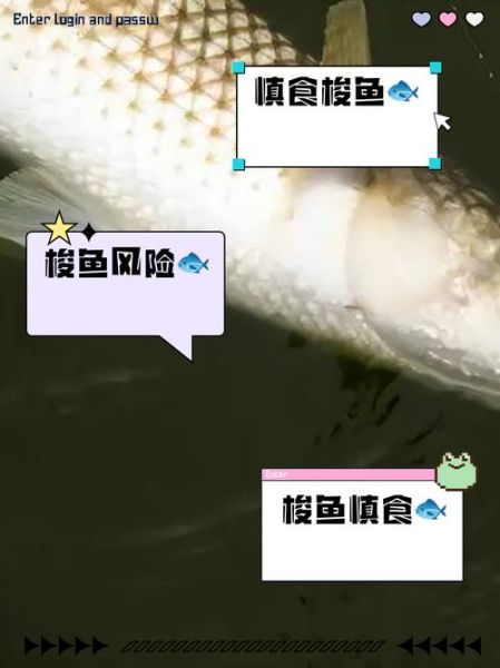 梭鱼头为什么不能吃_梭鱼头重金属超标吗-第3张图片-山城妙识 梭鱼头为什么不能吃_梭鱼头重金属超标吗-第3张图片-山城妙识