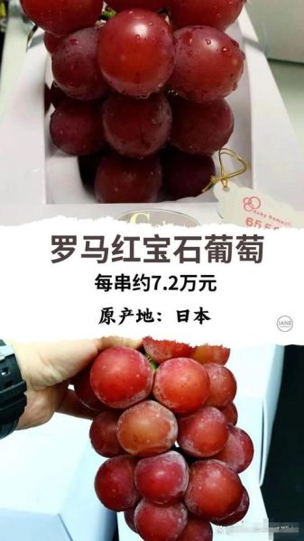 最贵的水果有哪些_为什么那么贵-第1张图片-山城妙识 最贵的水果有哪些_为什么那么贵-第1张图片-山城妙识