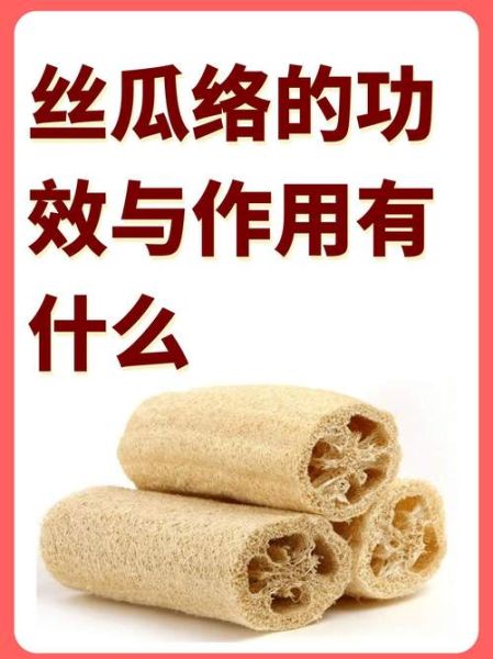 丝瓜络的功效与作用是什么_丝瓜络怎么使用最有效-第1张图片-山城妙识