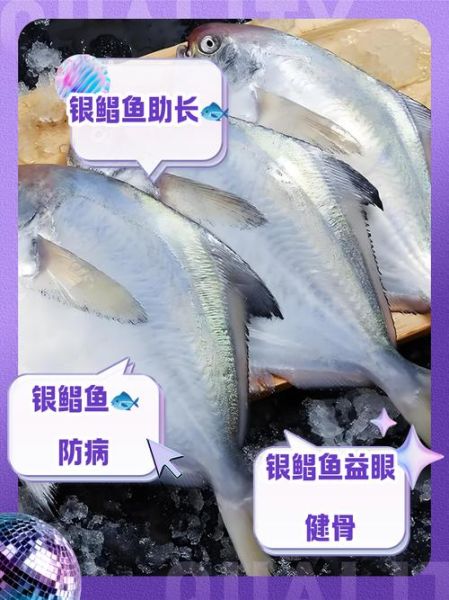 银鲳鱼的营养价值_银鲳鱼的功效与作用-第1张图片-山城妙识
