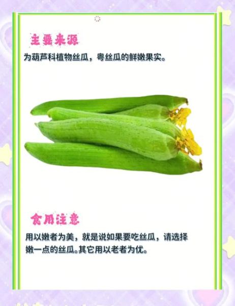 丝瓜的功效与作用_丝瓜怎么吃最降火-第1张图片-山城妙识