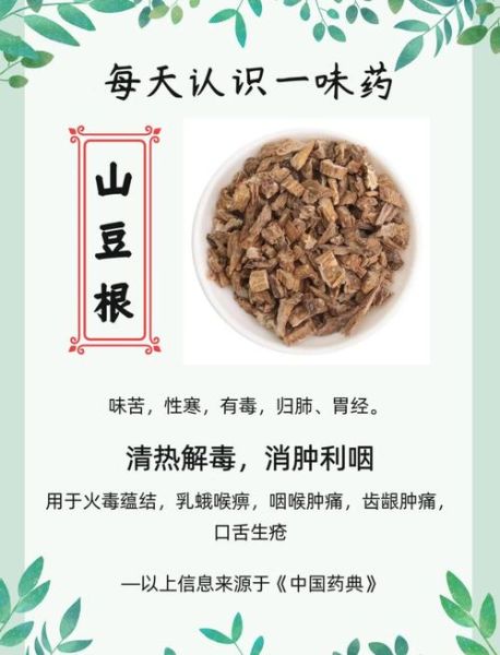 山豆根的功效与作用_山豆根能治什么病-第1张图片-山城妙识 山豆根的功效与作用_山豆根能治什么病-第1张图片-山城妙识