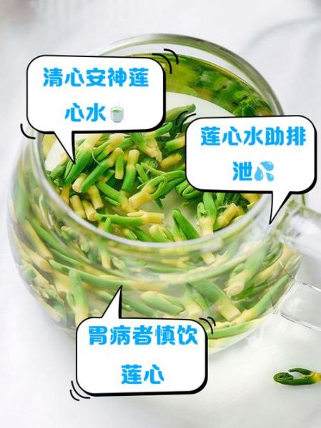 莲子心泡水有什么好处_莲子心泡水能天天喝吗-第3张图片-山城妙识 莲子心泡水有什么好处_莲子心泡水能天天喝吗-第3张图片-山城妙识