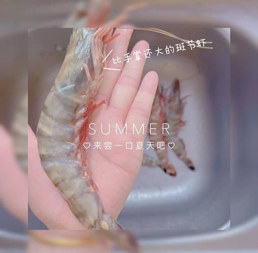 海虾吃什么食物_海虾吃什么长得快-第3张图片-山城妙识 海虾吃什么食物_海虾吃什么长得快-第3张图片-山城妙识