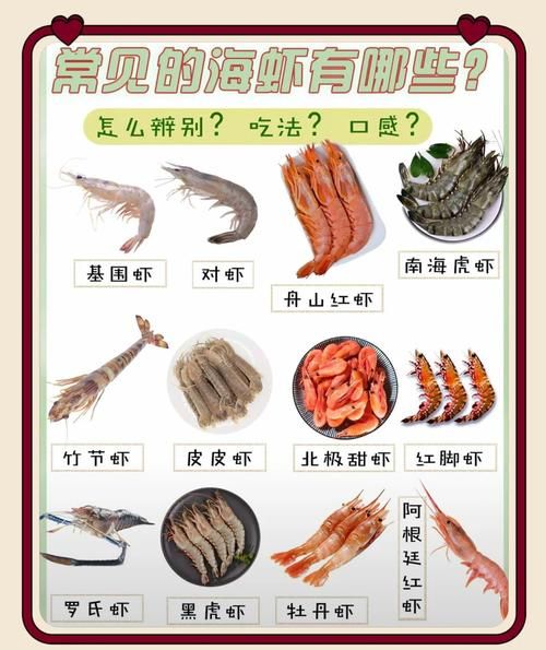 海虾吃什么食物_海虾吃什么长得快-第1张图片-山城妙识 海虾吃什么食物_海虾吃什么长得快-第1张图片-山城妙识