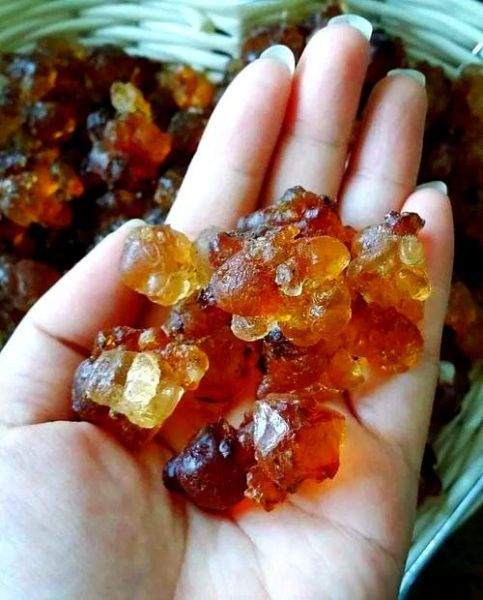 正品桃胶多少钱一斤_如何辨别真假桃胶-第3张图片-山城妙识 正品桃胶多少钱一斤_如何辨别真假桃胶-第3张图片-山城妙识