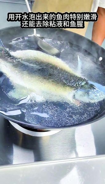 盐水鱼怎么养_盐水鱼图片大全-第2张图片-山城妙识 盐水鱼怎么养_盐水鱼图片大全-第2张图片-山城妙识