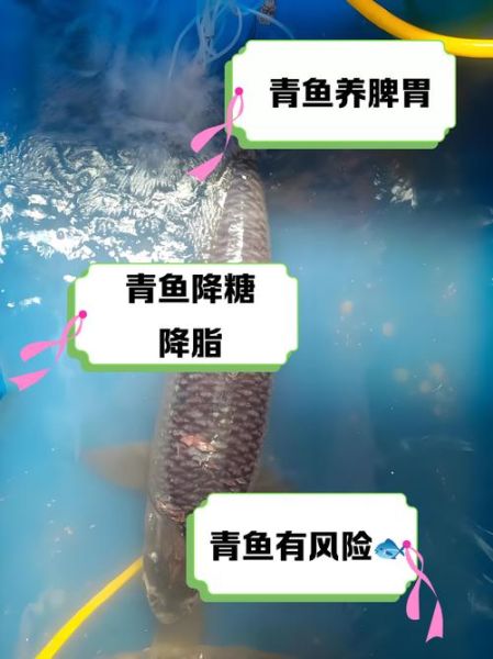 青鱼刺多吗_青鱼适合孩子吃吗-第3张图片-山城妙识 青鱼刺多吗_青鱼适合孩子吃吗-第3张图片-山城妙识