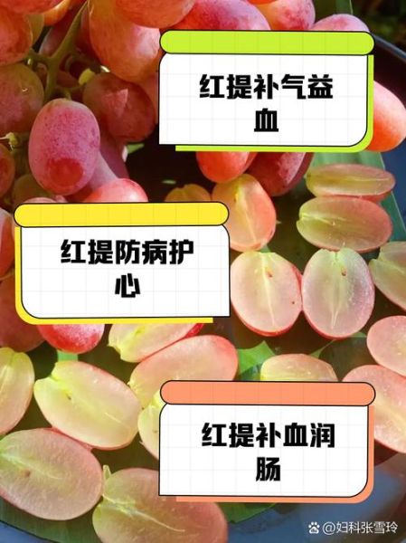 红提子不能和什么一起吃_红提子禁忌人群有哪些-第2张图片-山城妙识
