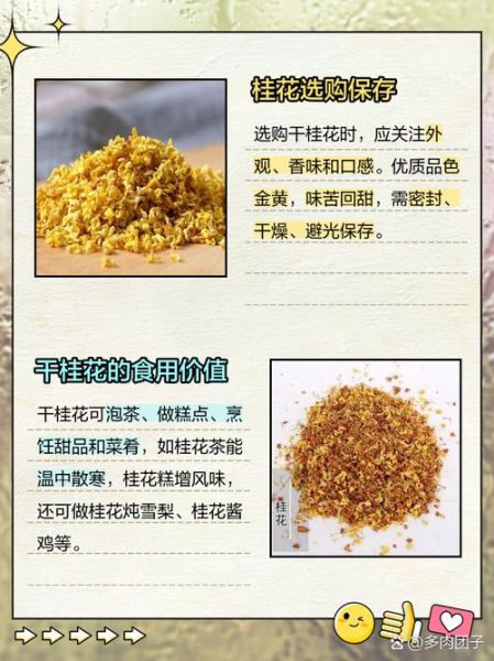 干桂花多少钱一斤_干桂花价格受哪些因素影响-第3张图片-山城妙识 干桂花多少钱一斤_干桂花价格受哪些因素影响-第3张图片-山城妙识