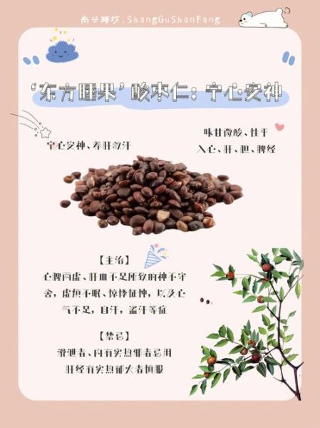炒酸枣仁的功效与作用_失眠多梦能吃吗-第3张图片-山城妙识 炒酸枣仁的功效与作用_失眠多梦能吃吗-第3张图片-山城妙识