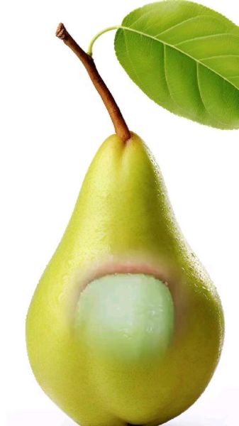 大鸭梨图片_如何拍摄更诱人-第1张图片-山城妙识