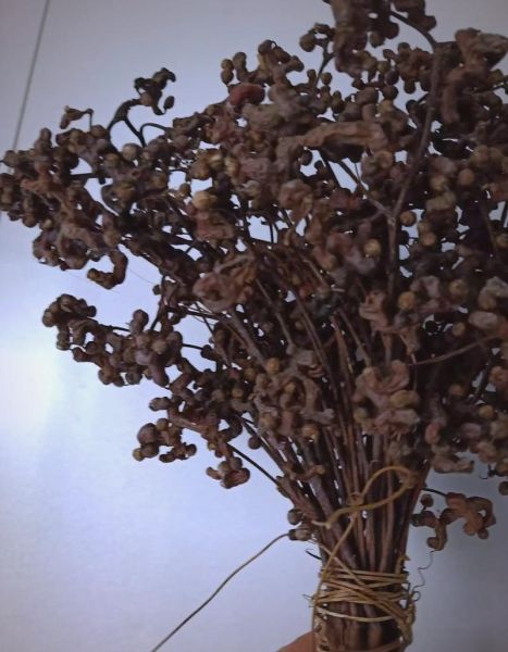 鸡爪梨怎么吃最好_鸡爪梨的正确吃法-第3张图片-山城妙识 鸡爪梨怎么吃最好_鸡爪梨的正确吃法-第3张图片-山城妙识