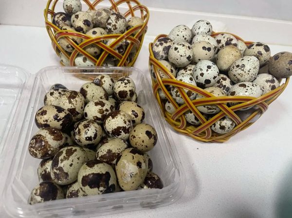 卤鹌鹑蛋怎么做好吃_卤鹌鹑蛋要煮多久才入味-第1张图片-山城妙识 卤鹌鹑蛋怎么做好吃_卤鹌鹑蛋要煮多久才入味-第1张图片-山城妙识