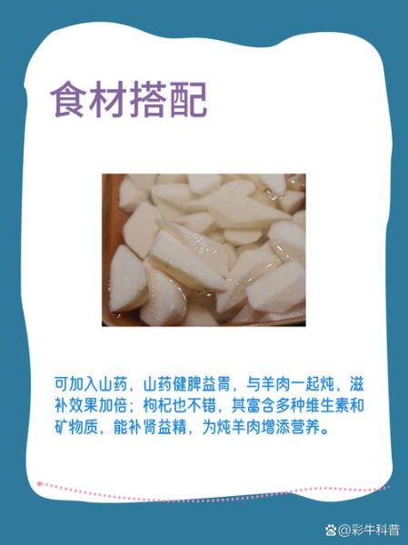 炖羊肉放什么调料_炖羊肉最忌讳的调料-第1张图片-山城妙识 炖羊肉放什么调料_炖羊肉最忌讳的调料-第1张图片-山城妙识
