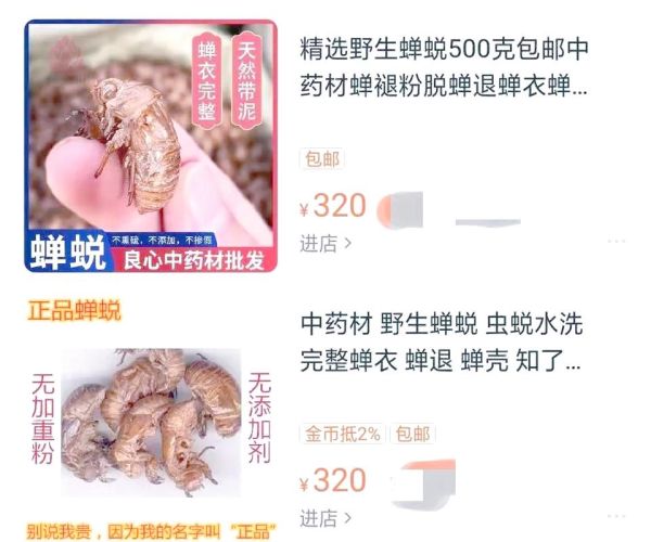 知了壳有什么功效_知了壳能治什么病-第3张图片-山城妙识 知了壳有什么功效_知了壳能治什么病-第3张图片-山城妙识