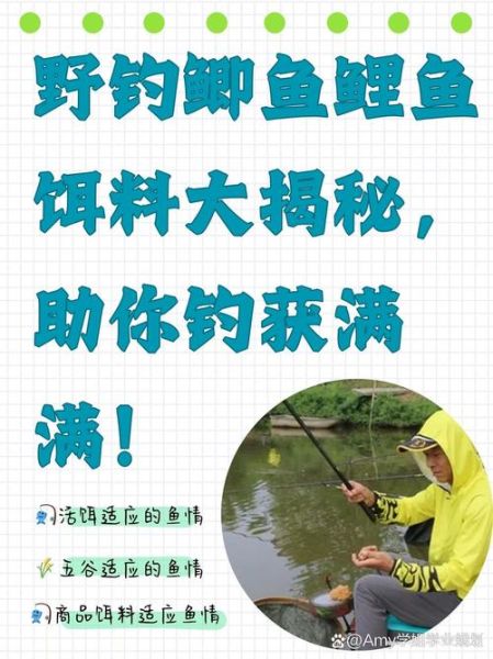 野钓大鲫鱼怎么选钓位_野钓大鲫鱼用什么饵料-第2张图片-山城妙识 野钓大鲫鱼怎么选钓位_野钓大鲫鱼用什么饵料-第2张图片-山城妙识