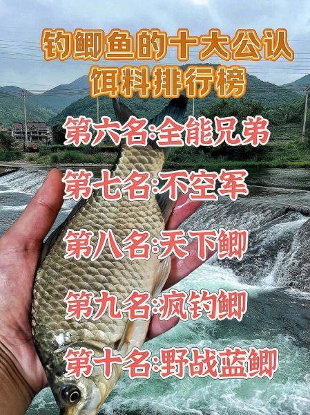 野钓大鲫鱼怎么选钓位_野钓大鲫鱼用什么饵料-第1张图片-山城妙识 野钓大鲫鱼怎么选钓位_野钓大鲫鱼用什么饵料-第1张图片-山城妙识