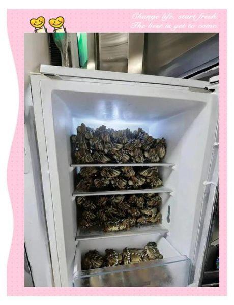 湖蟹怎么保存_湖蟹放冰箱能活几天-第3张图片-山城妙识