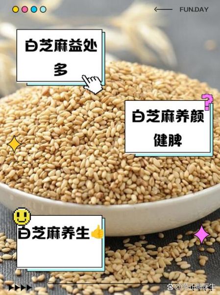 白芝麻怎么保存_白芝麻营养价值-第3张图片-山城妙识 白芝麻怎么保存_白芝麻营养价值-第3张图片-山城妙识