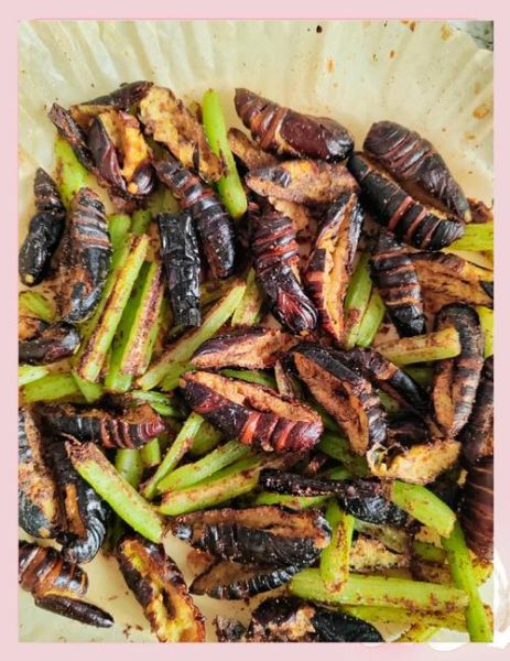 干煸茧蛹怎么做_干煸茧蛹好吃吗-第2张图片-山城妙识