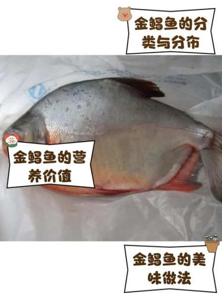 金鲳鱼是海鱼还是淡水鱼_金鲳鱼养殖环境揭秘-第1张图片-山城妙识 金鲳鱼是海鱼还是淡水鱼_金鲳鱼养殖环境揭秘-第1张图片-山城妙识