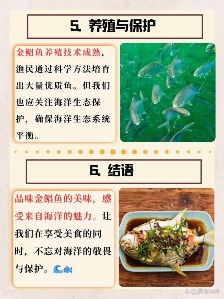 金鲳鱼是海鱼还是淡水鱼_金鲳鱼养殖环境揭秘-第2张图片-山城妙识 金鲳鱼是海鱼还是淡水鱼_金鲳鱼养殖环境揭秘-第2张图片-山城妙识