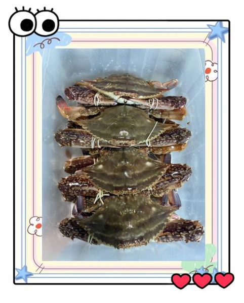 螃蟹汁怎么调_螃蟹蘸汁配方大全-第3张图片-山城妙识