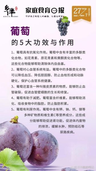 葡萄的功效与作用有哪些_葡萄的营养价值高吗-第1张图片-山城妙识 葡萄的功效与作用有哪些_葡萄的营养价值高吗-第1张图片-山城妙识