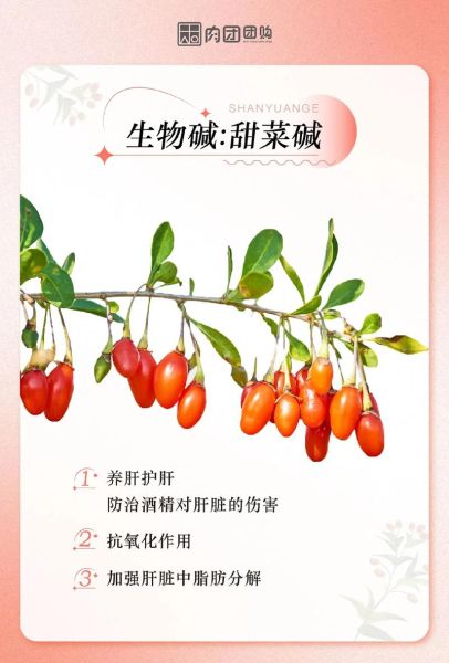 枸杞吃多久才有效果_枸杞见效时间-第1张图片-山城妙识