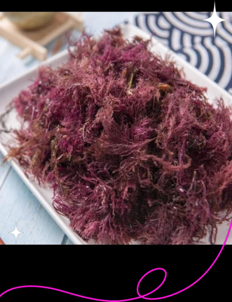 石花菜熬冻怎么做_石花菜冻多久凝固-第2张图片-山城妙识