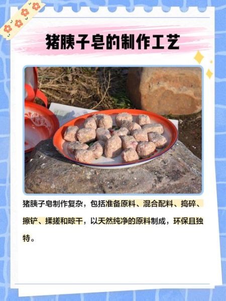 猪胰子皂的功效与作用_猪胰子皂怎么做-第2张图片-山城妙识