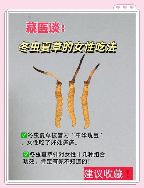 虫草对女人功效与作用_女人吃虫草有哪些好处-第2张图片-山城妙识