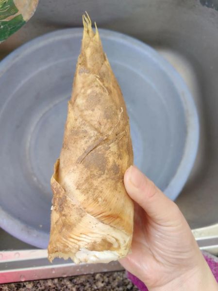 明笋干怎么泡发_明笋干的家常做法-第2张图片-山城妙识